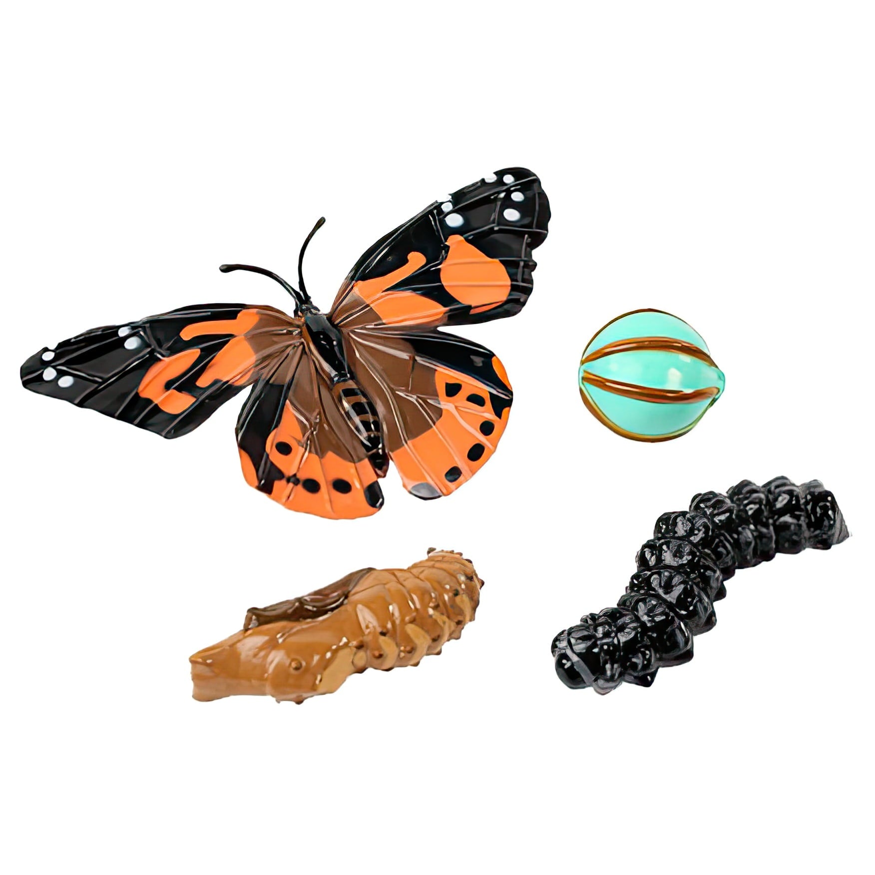 Lot de 4 figurines cycle de vie du papillon – JBA EDUCATION NATURE